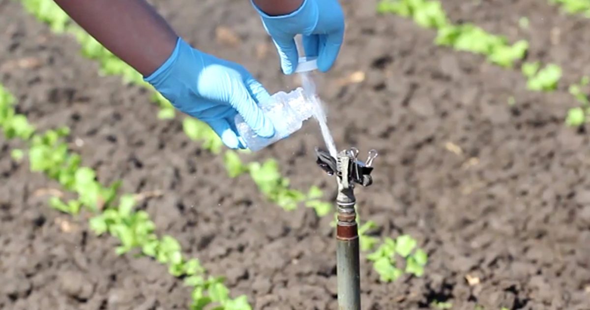 California Leafy Greens Marketing Agreement | CA LGMA Completes First…