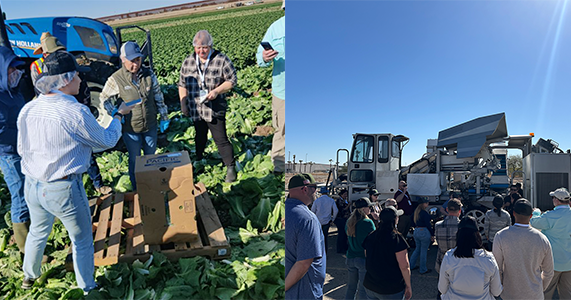 California Leafy Greens Marketing Agreement | Working with Produce…