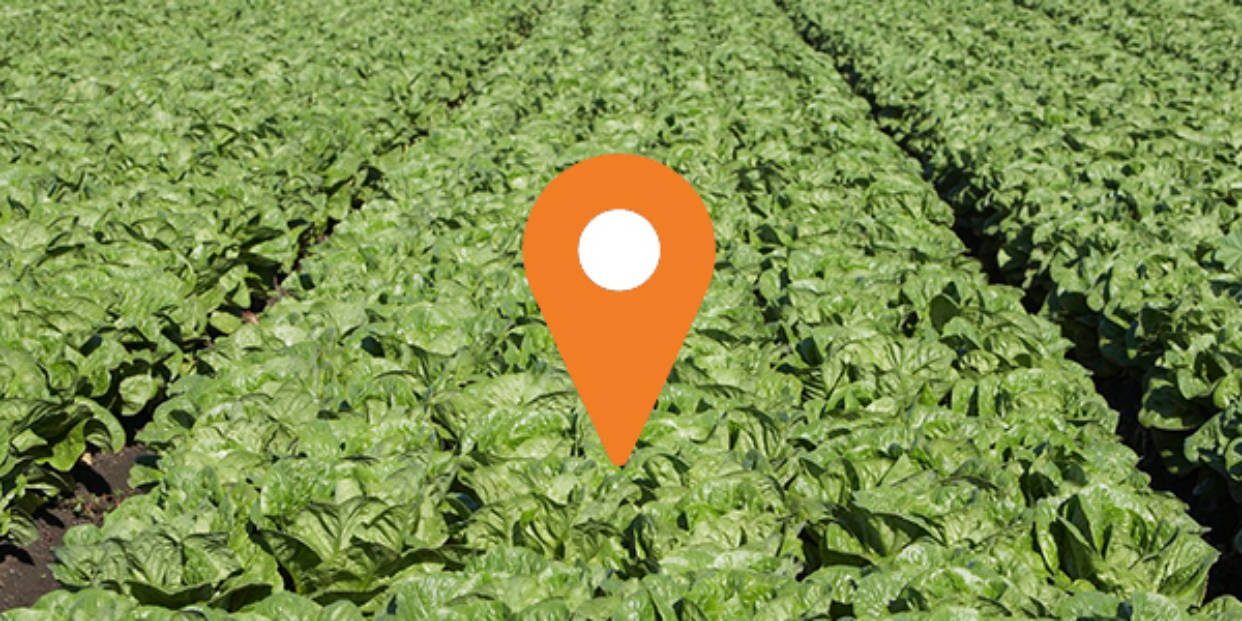 California Leafy Greens Marketing Agreement | What’s Behind LGMA’s…