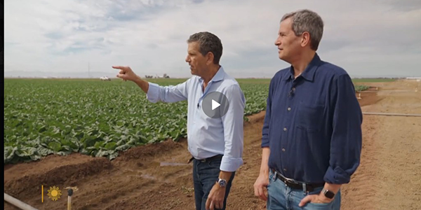 California Leafy Greens Marketing Agreement | LGMA Featured on CBS…
